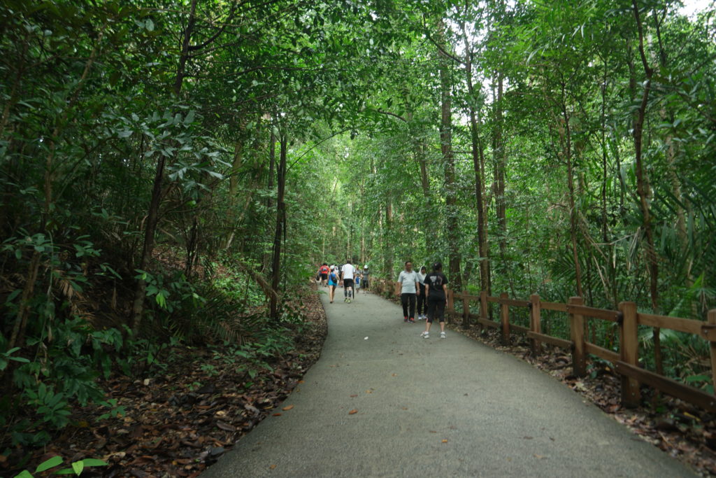Bukit Timah Nature Reserve | 1step1footprint